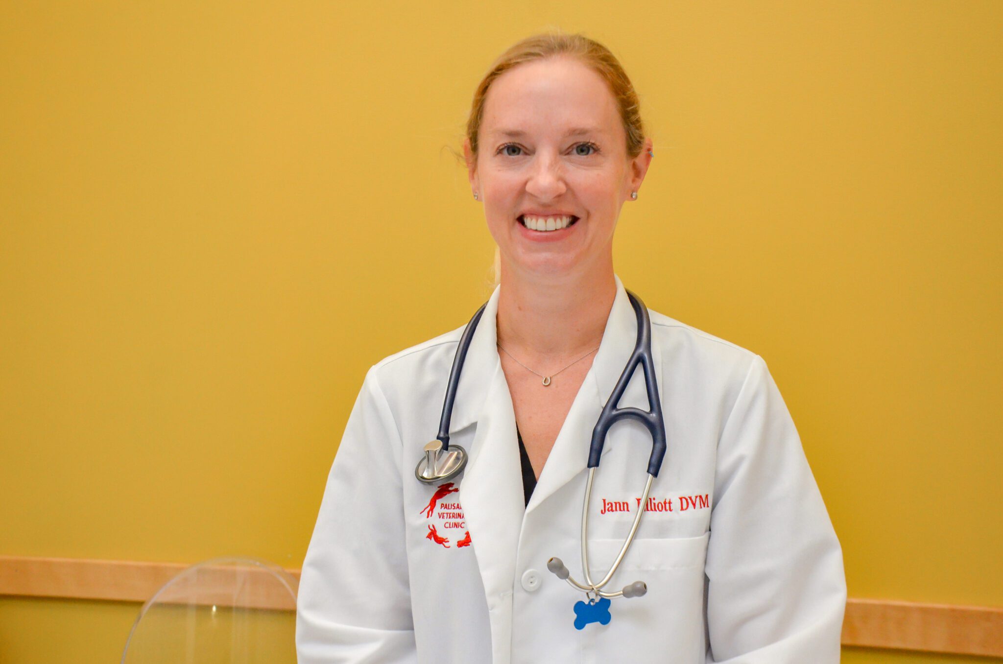 Animal Hospital | Palisades Veterinary Clinic | Washington DC